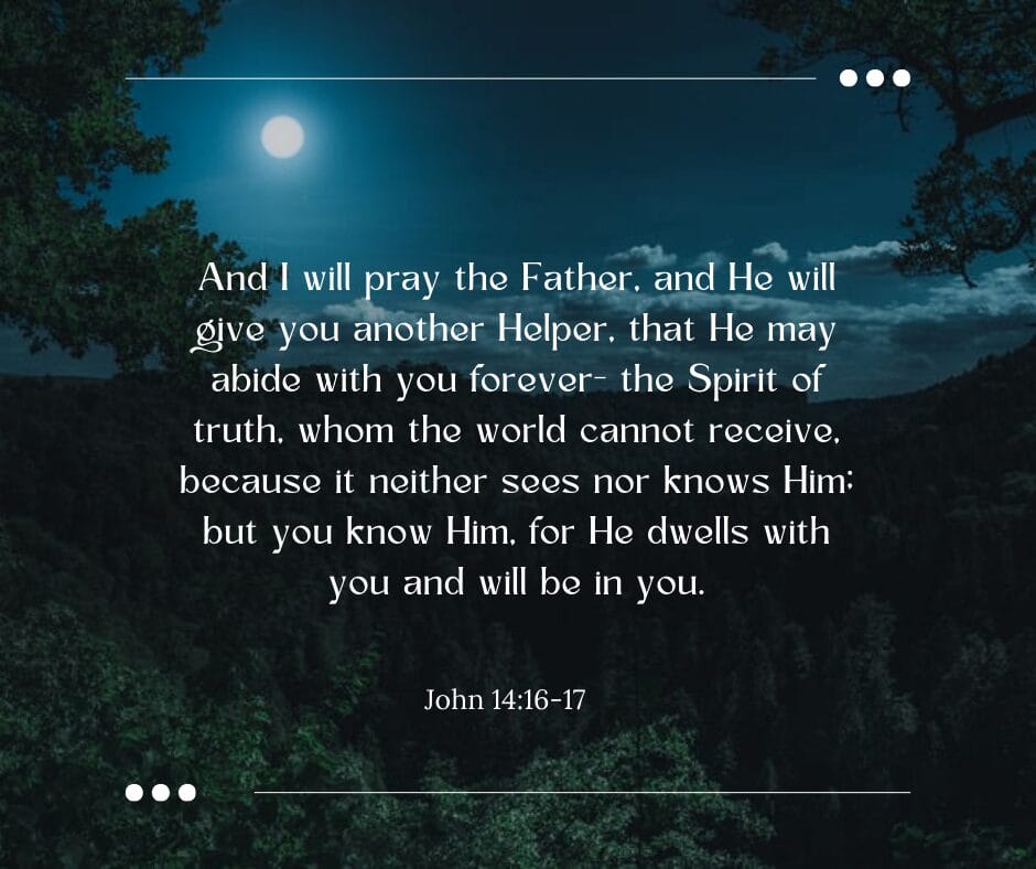 The Fear of the Flesh - Think Life Change